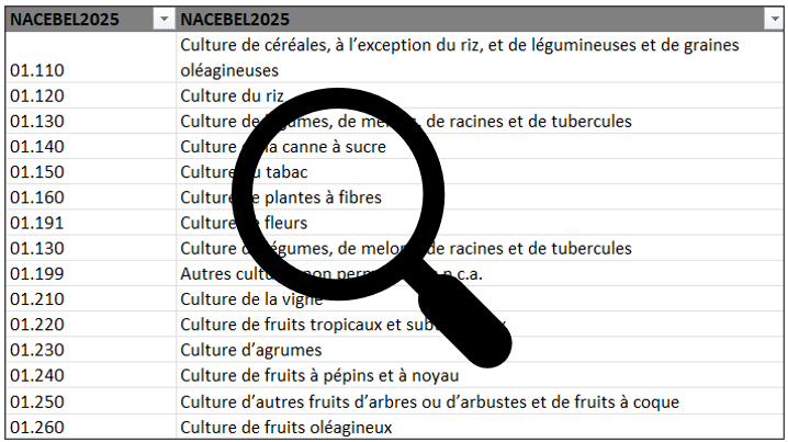 Nouvelle nomenclature NACE-BEL 2025 : ce qui change au 1er janvier - Banque Carrefour d'Échange ...